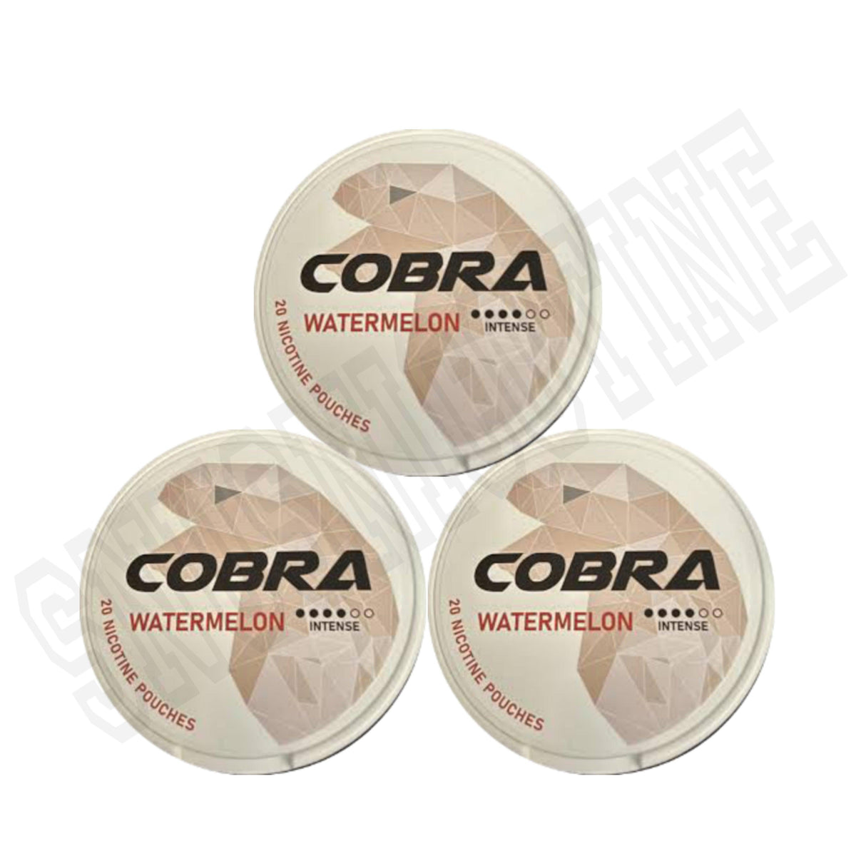 Is Snus Legal in the UK? Or Is Snus Illegal? – SNUS Nicotine Pouches